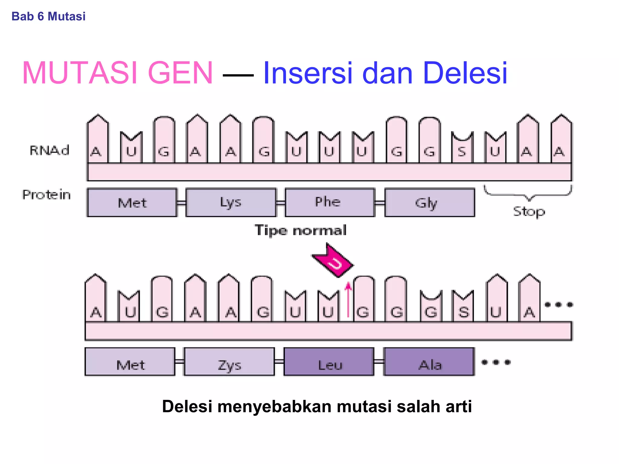 Powerpoint Mutasi Biologi SMA | PPT