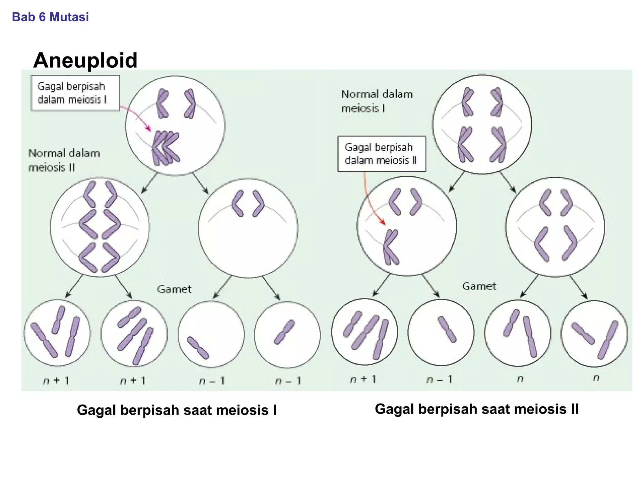 Powerpoint Mutasi Biologi SMA | PPT
