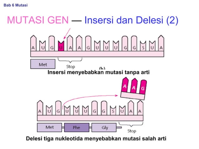 Powerpoint Mutasi Biologi SMA | PPT