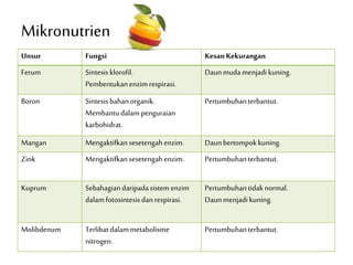 Bab 6 nutrisi biologi tingkatan 4 | PPTX