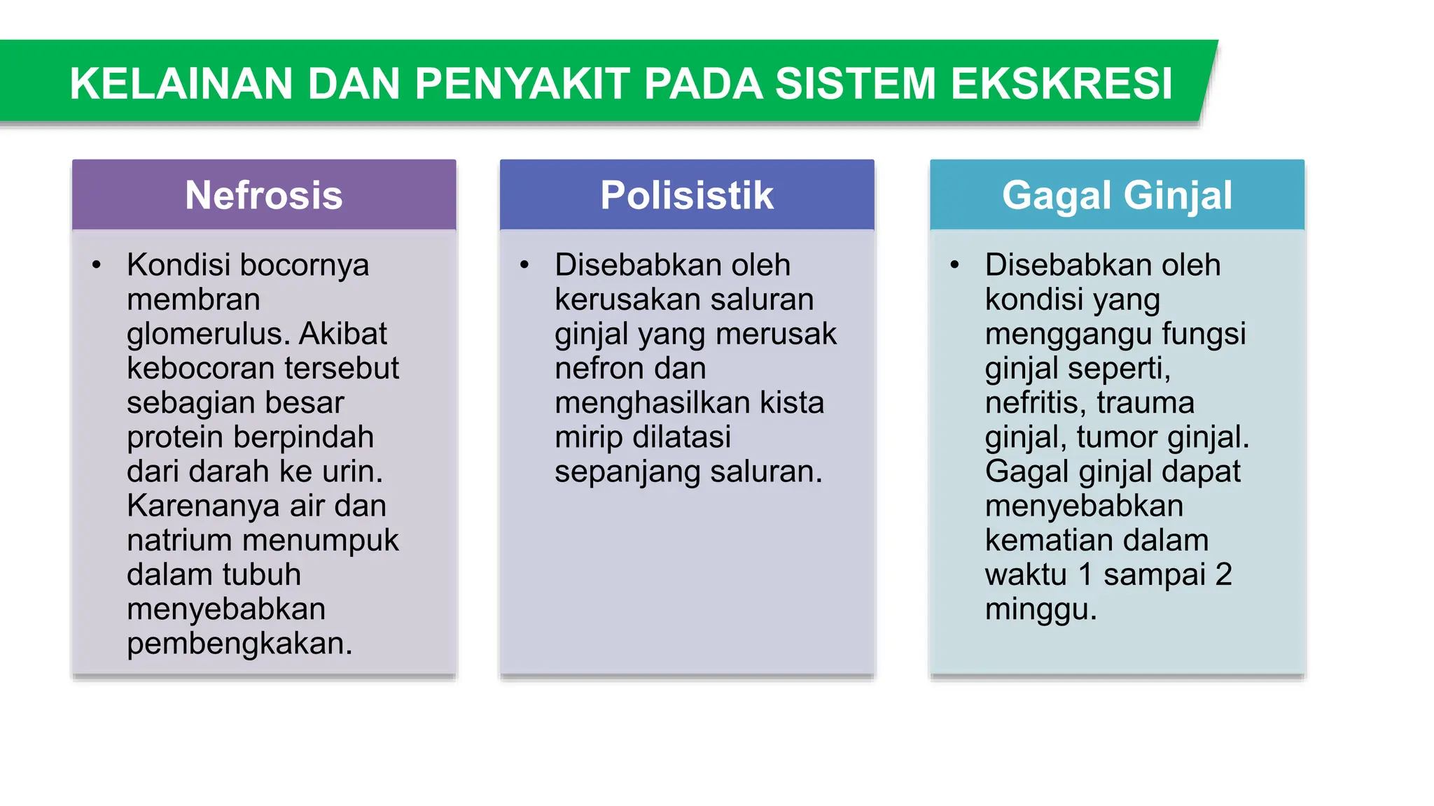 BAB 6 SISTEM EKSKRESI PADA MANUSIA.pptx