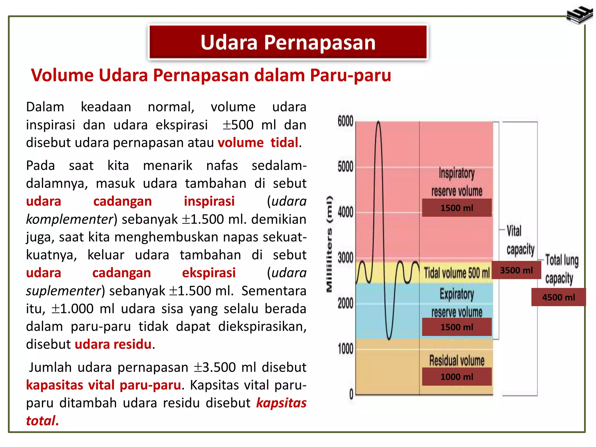 Bab 6 Sistem Pernapasan.pptx