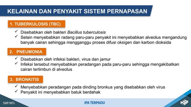 BAB 6 SISTEM PERNAPASAN PADA MANUSIA.txt.pptx