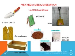 Bab 6 tanaman hiasan ting 1 | PPTX