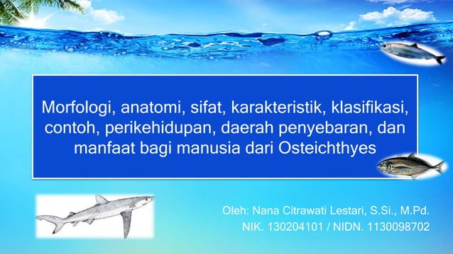 Bab 7. Osteichthyes | PPTX