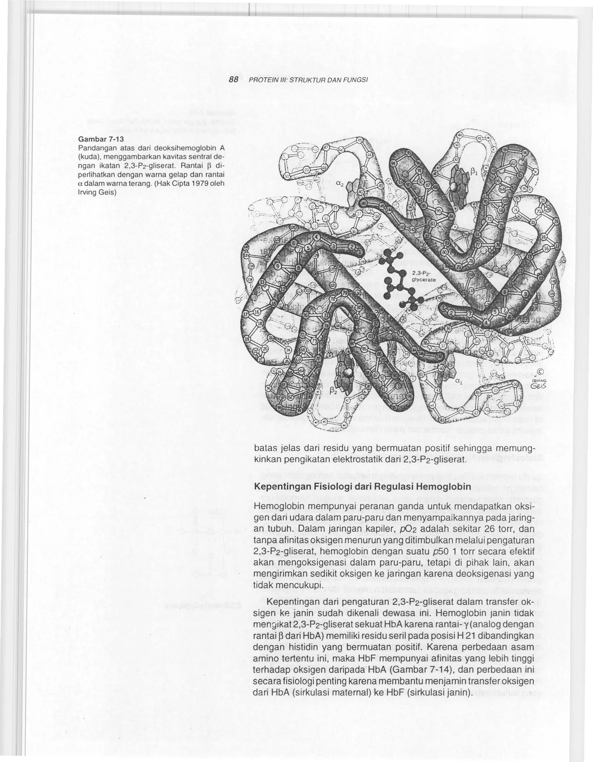 Struktur dan Fungsi Protein | PDF