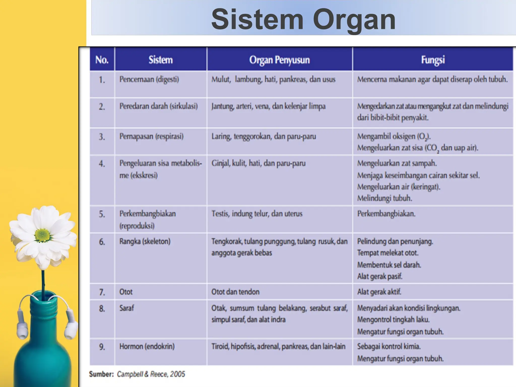 BAB 7 sistem organisasi kehidupan tentang sel jaringan organ sistem ...