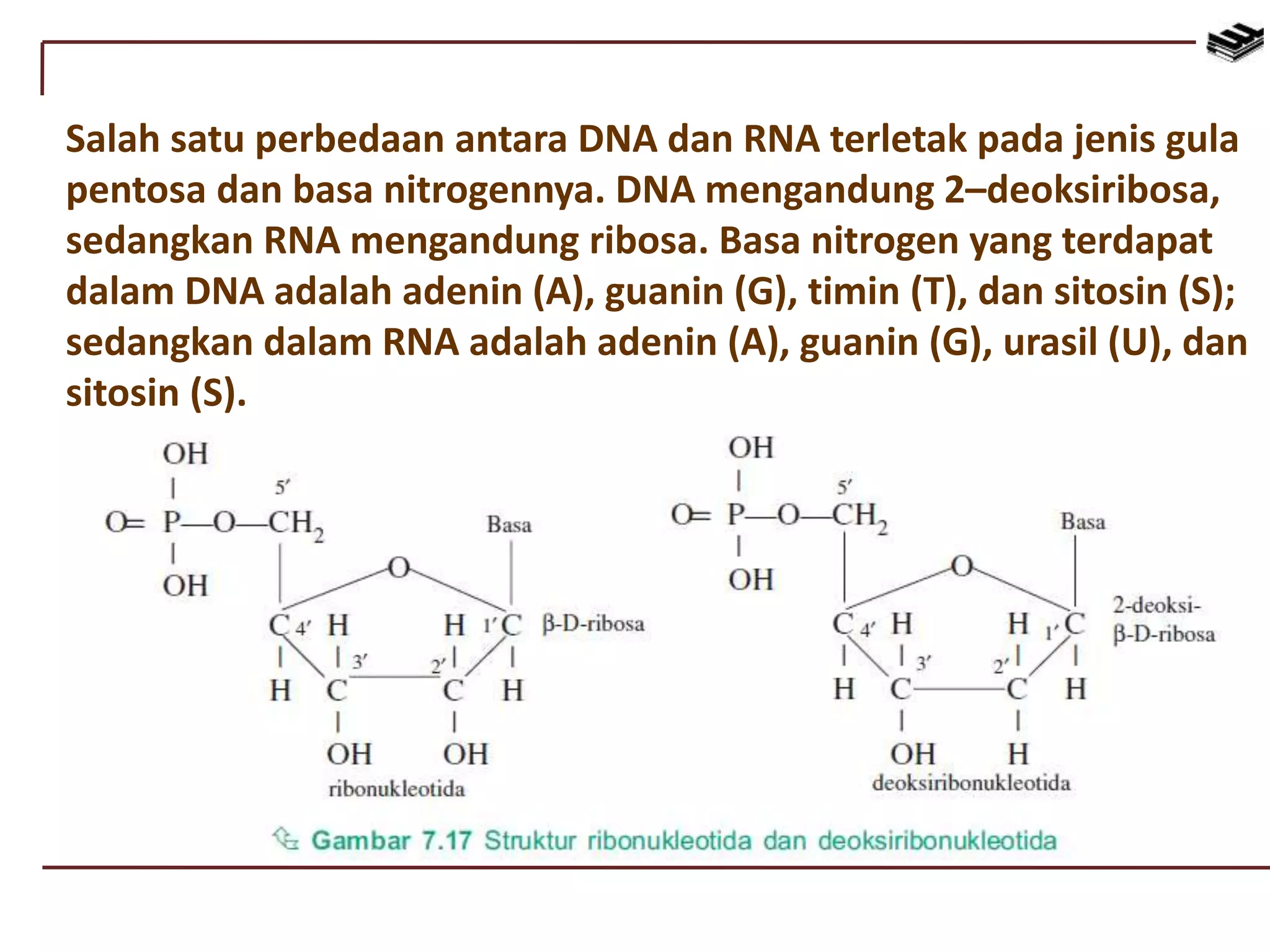 biomolekul | PPTX