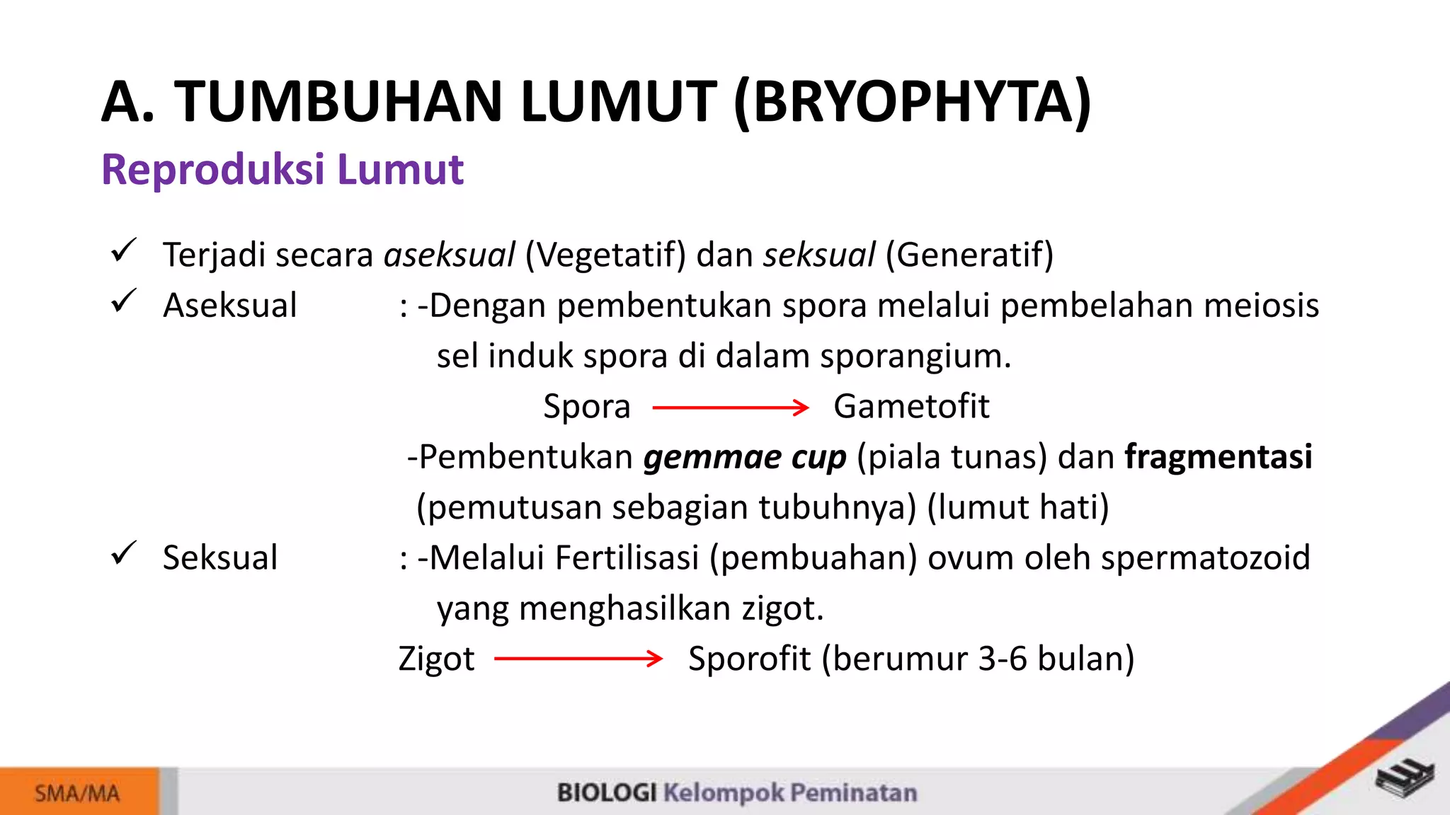 BAB 7 Dunia Tumbuhan (Plantae).pptx