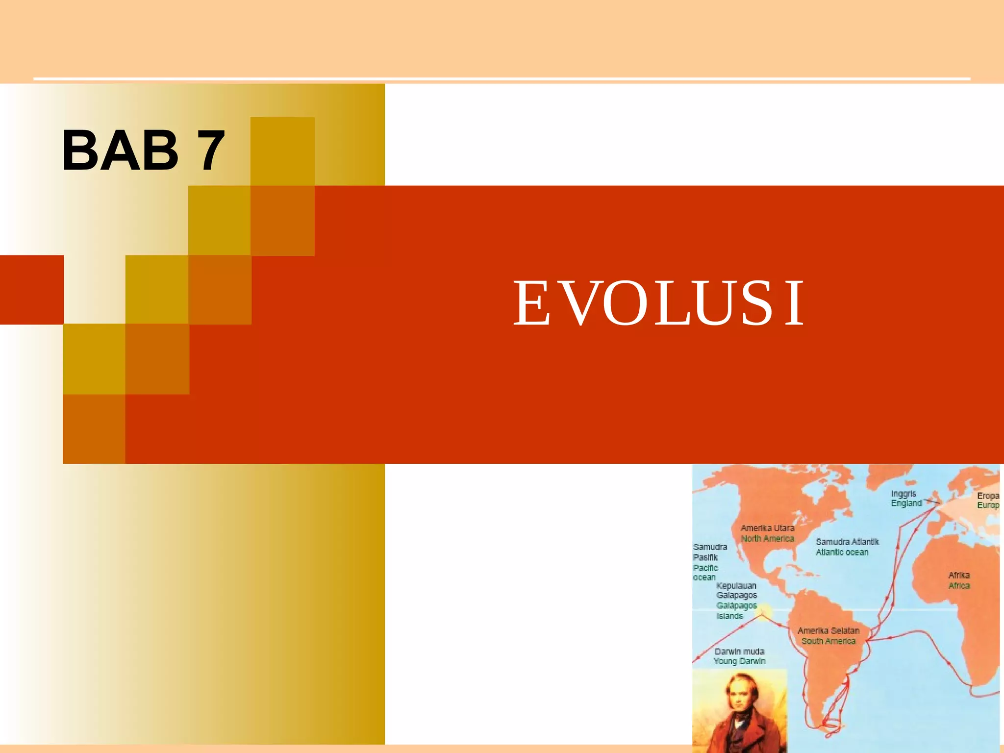bab7evolusi-131016072452-phpapp01.pdf