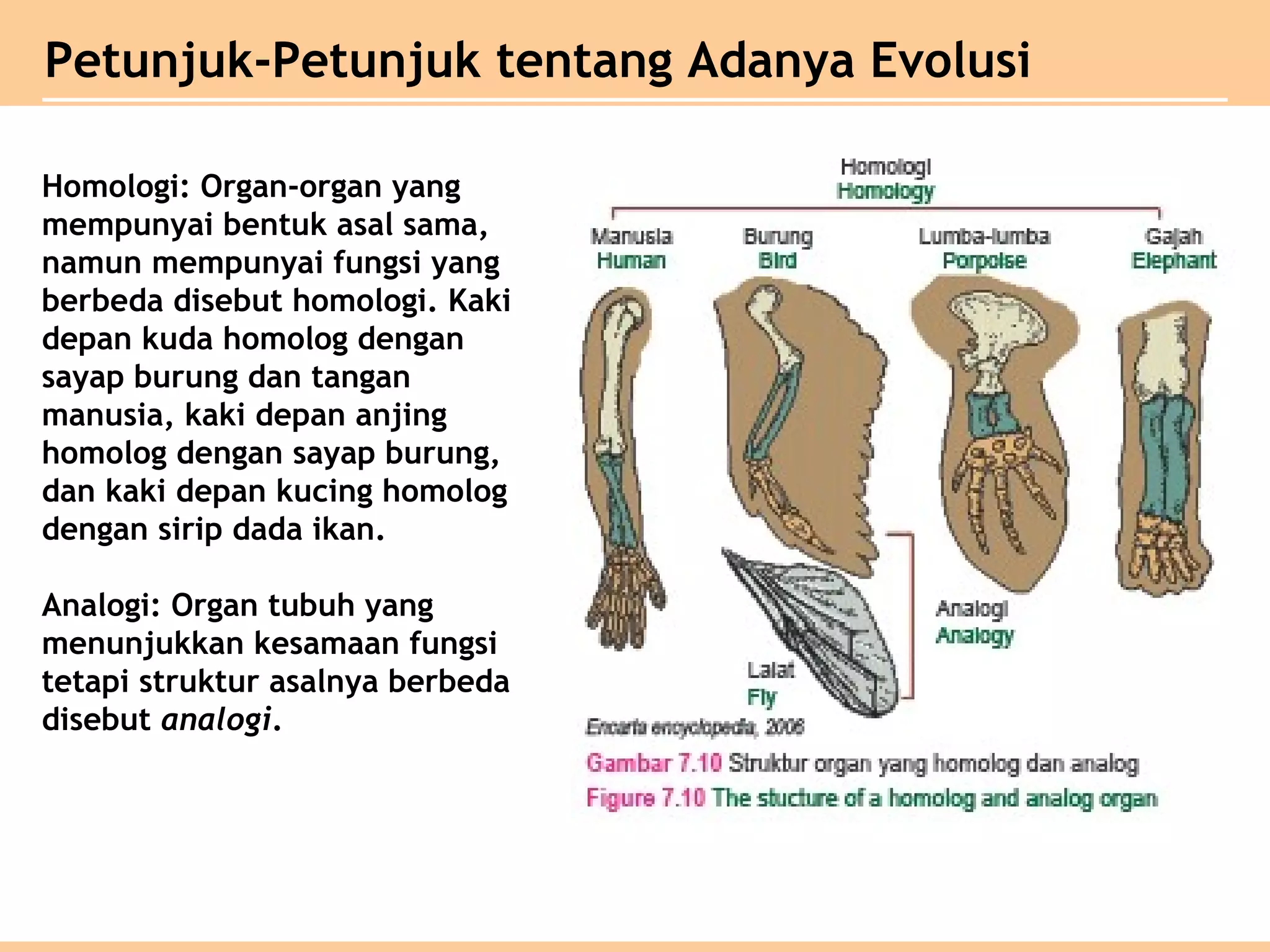Bab 7 evolusi XII SMA IPA | PPT