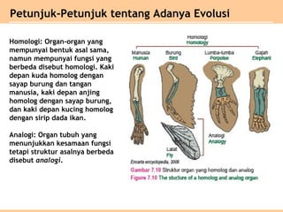 Bab 7 evolusi XII SMA IPA | PPT