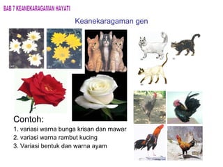 Materi#7 Keanekaragaman Hayati | PPT