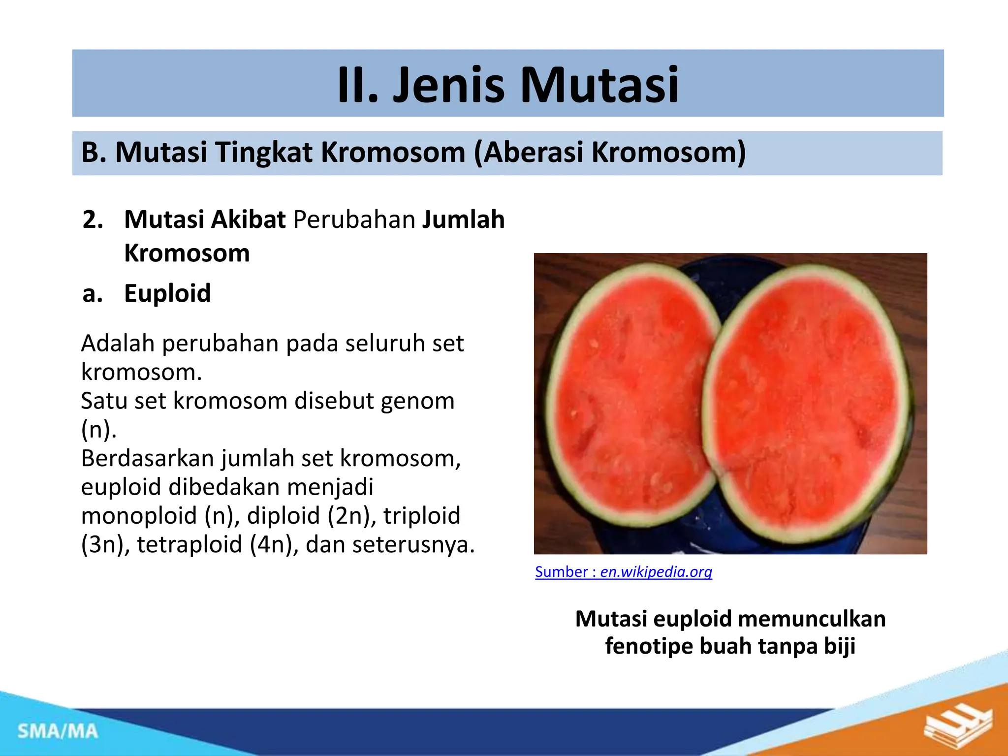 BAB 7 Mutasi Genetik kelas 12 Kurikulum 2013 | PPT