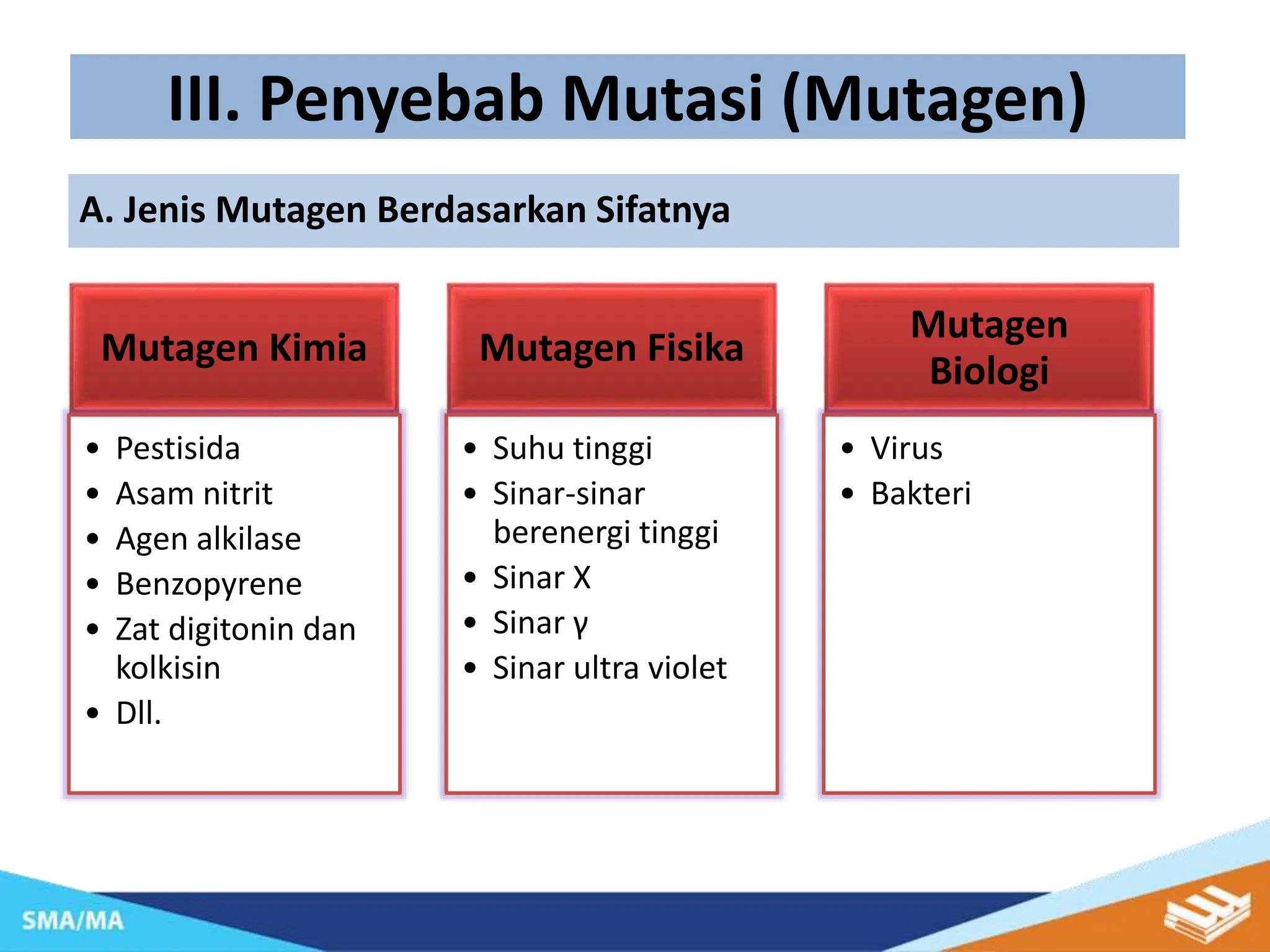 BAB 7 Mutasi Genetik kelas 12 Kurikulum 2013 | PPT