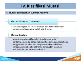 BAB 7 Mutasi Genetik kelas 12 Kurikulum 2013 | PPTX