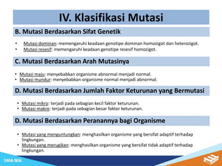 BAB 7 Mutasi Genetik kelas 12 Kurikulum 2013 | PPTX