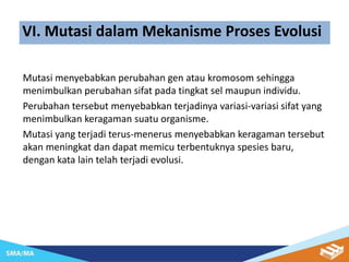 BAB 7 Mutasi Genetik kelas 12 Kurikulum 2013 | PPTX