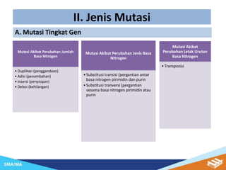 BAB 7 Mutasi Genetik kelas 12 Kurikulum 2013 | PPTX