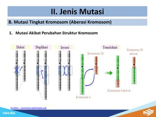BAB 7 Mutasi Genetik kelas 12 Kurikulum 2013 | PPTX