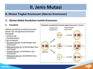 BAB 7 Mutasi Genetik kelas 12 Kurikulum 2013 | PPTX