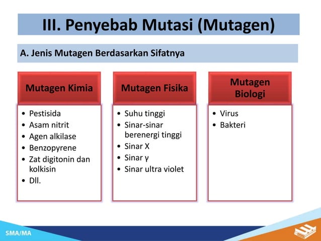 BAB 7 Mutasi Genetik kelas 12 Kurikulum 2013 | PPTX