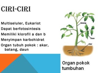 Bab 7 plantae | PPT