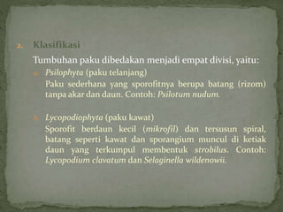 Bab 7 plantae | PPTX