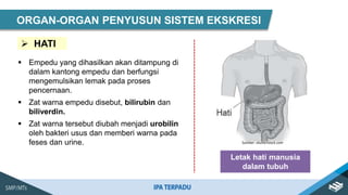 BAB 7 SISTEM EKSKRESI PADA MANUSIA.pptx
