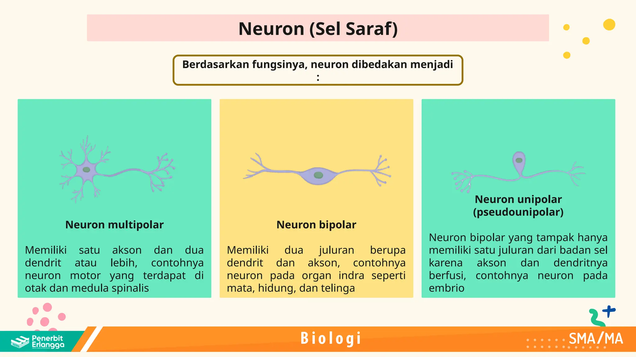 Sistem saraf, hoormon dan indera manusia | PPTX
