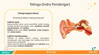 Sistem saraf, hoormon dan indera manusia | PPTX