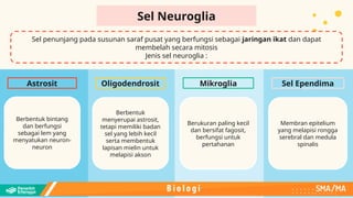 Sistem saraf, hoormon dan indera manusia | PPTX