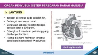 Bab 7 Sistem Peredaran Darah Pada Manusia.pptx