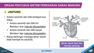Bab 7 Sistem Peredaran Darah Pada Manusia.pptx