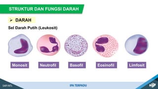 Bab 7 Sistem Peredaran Darah Pada Manusia.pptx
