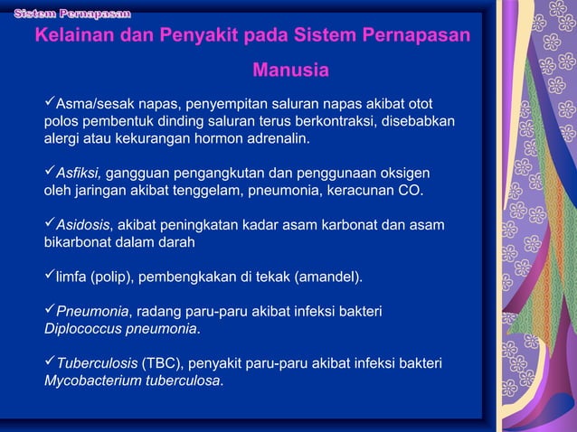 Bab 7 sistem pernapasan | PPT
