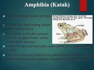 BAB 7 SISTEM PERNAPASAN.pptx