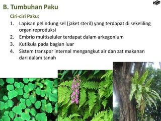 Bab 7 tumbuhan | PPTX