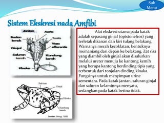 Sistem Ekskresi | PPTX
