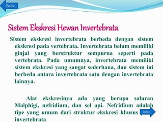 Sistem Ekskresi | PPTX