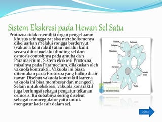 Sistem Ekskresi | PPTX