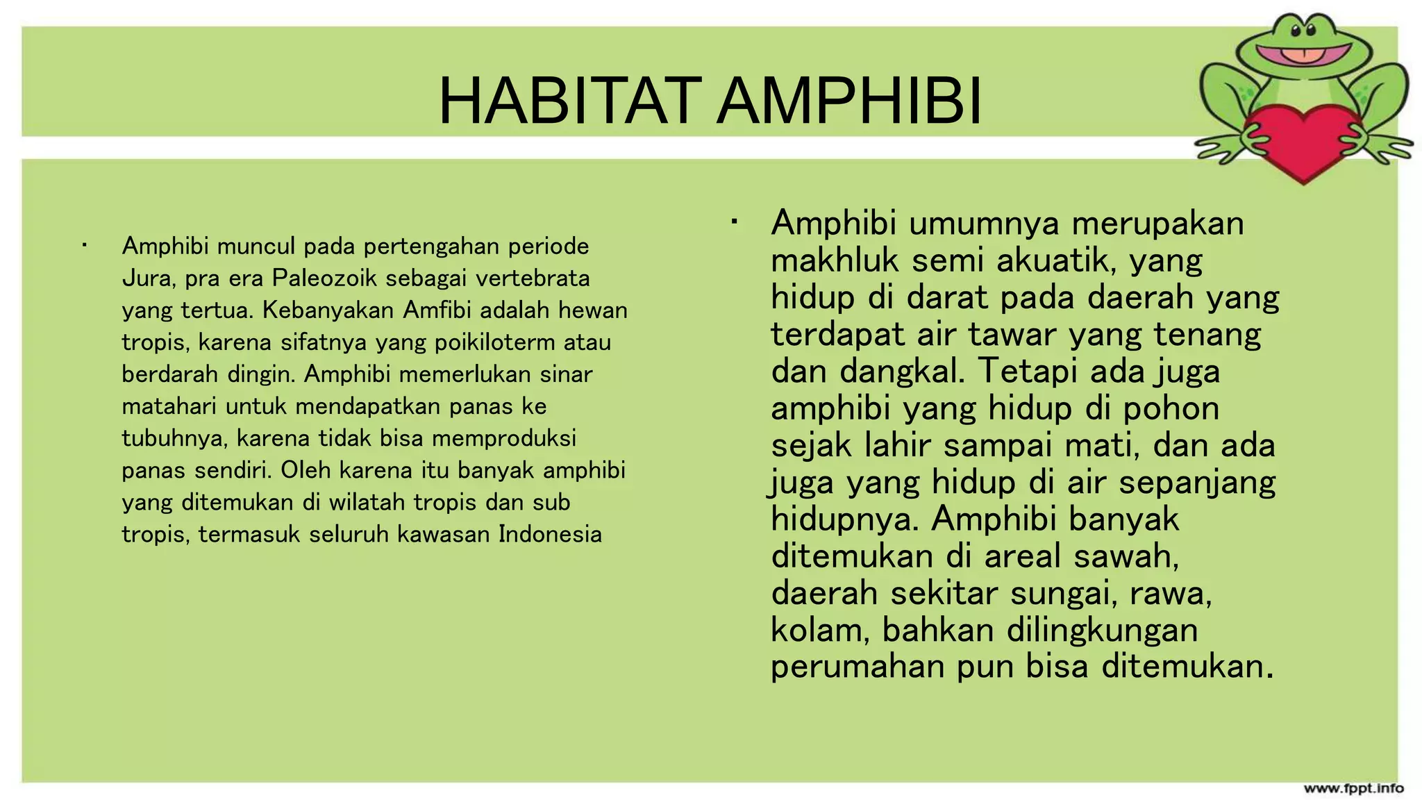 Bab 8. Morfologi, anatomi, sifat, karakteristik amfibi | PPTX