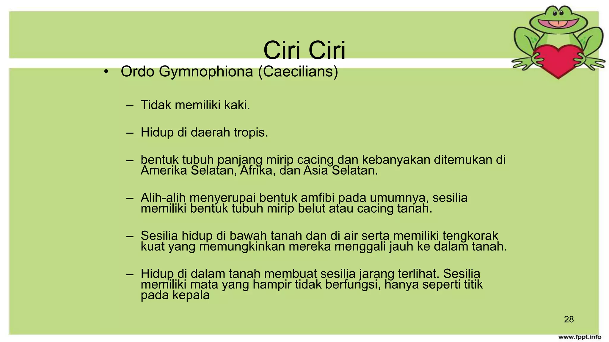 Bab 8. Morfologi, anatomi, sifat, karakteristik amfibi | PPTX