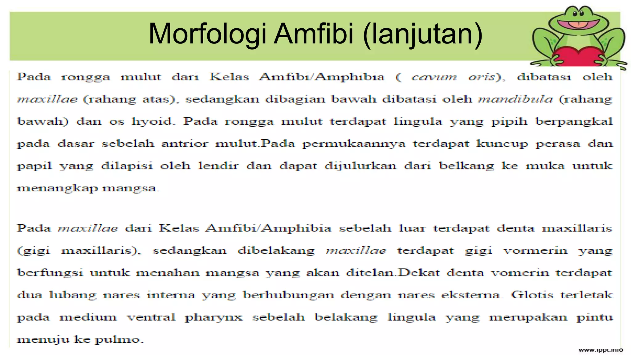 Bab 8. Morfologi, anatomi, sifat, karakteristik amfibi | PPTX