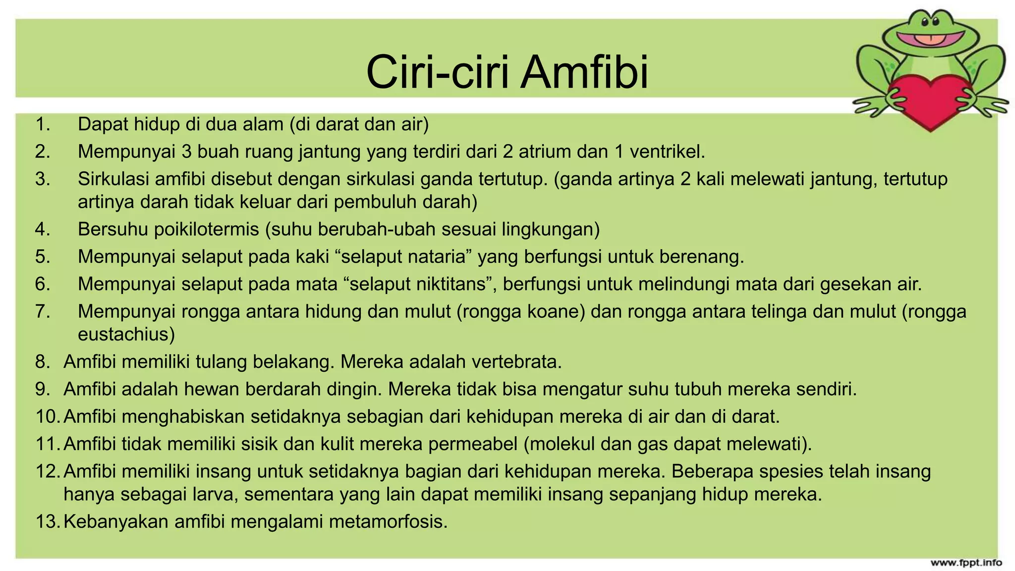 Bab 8. Morfologi, anatomi, sifat, karakteristik amfibi | PPTX