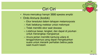 Bab 8. Morfologi, anatomi, sifat, karakteristik amfibi | PPTX