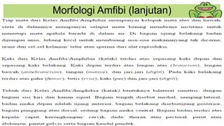 Bab 8. Morfologi, anatomi, sifat, karakteristik amfibi | PPTX