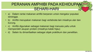 Bab 8. Morfologi, anatomi, sifat, karakteristik amfibi | PPTX