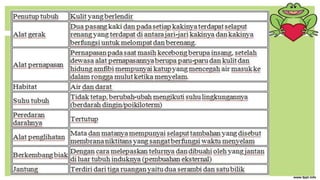 Bab 8. Morfologi, anatomi, sifat, karakteristik amfibi | PPTX