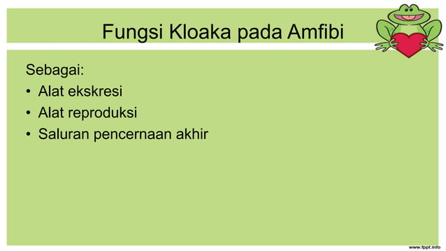 Bab 8. Morfologi, anatomi, sifat, karakteristik amfibi | PPTX
